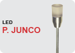 POSTE JUNCO LED – PROMMSA