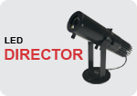 DIRECTOR LED – PROMMSA